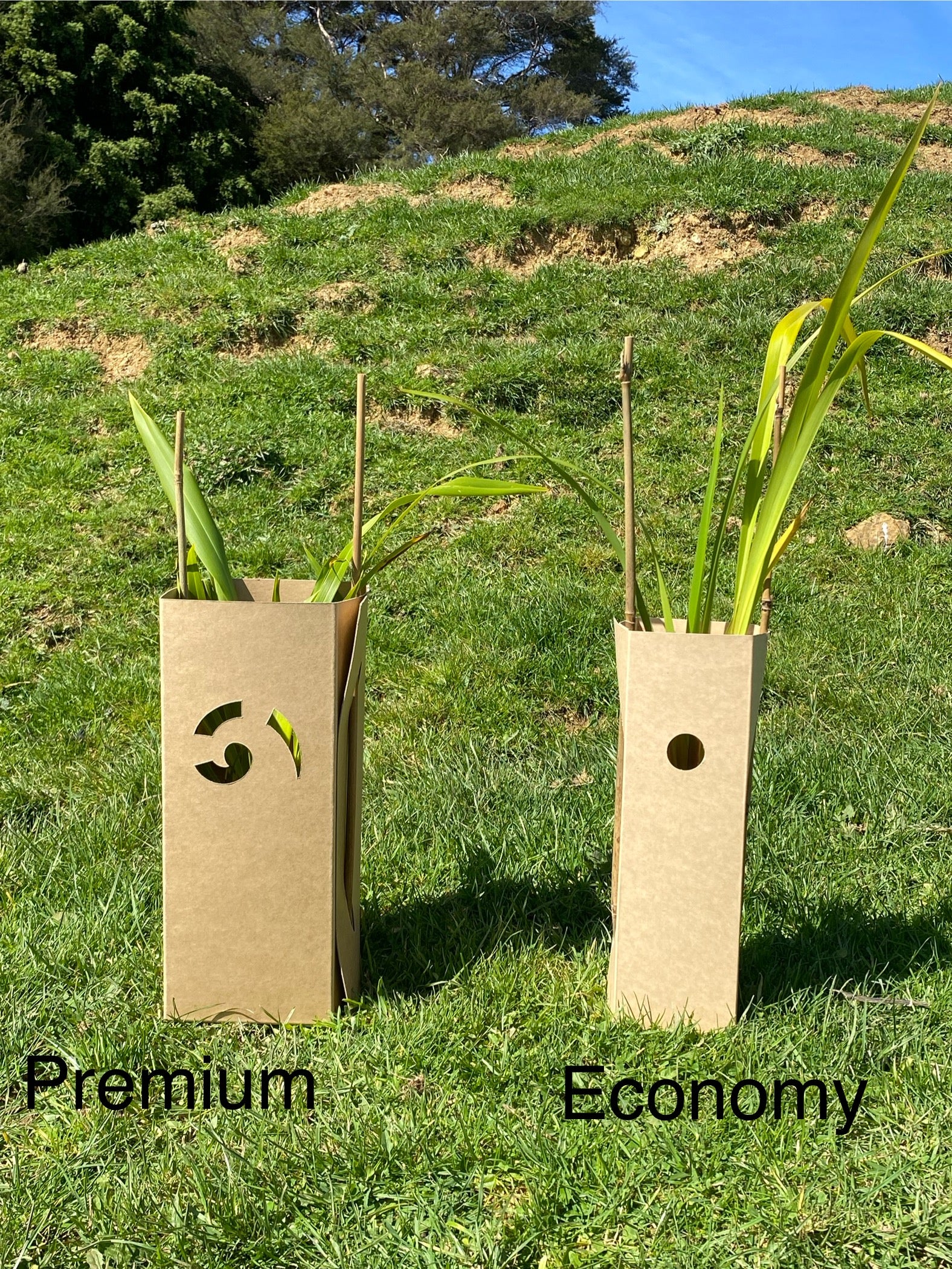 Mohua Multiguard - Economy – Mohua Nursery